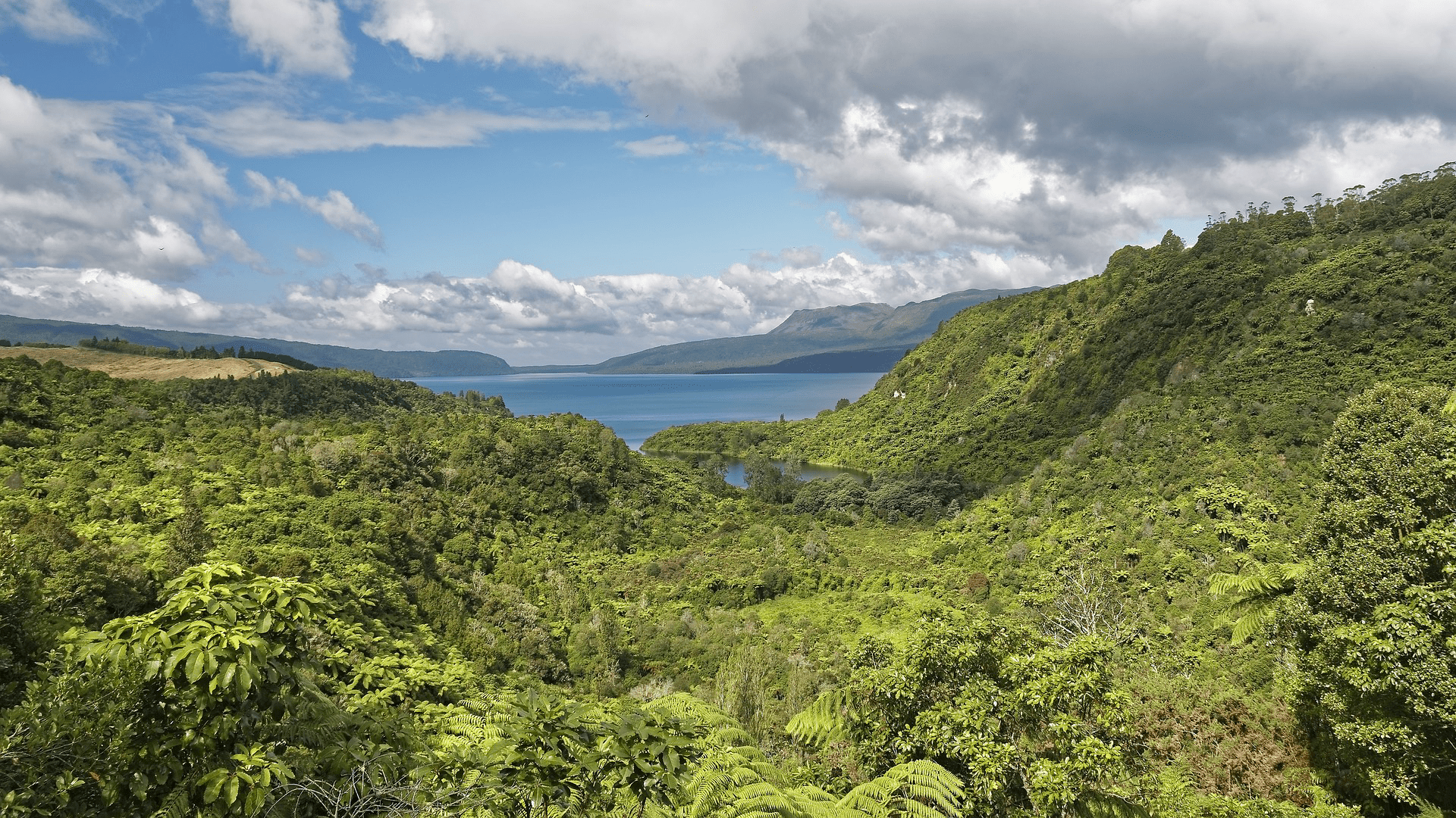 Managed Funds | Te Arawa Group Holdings