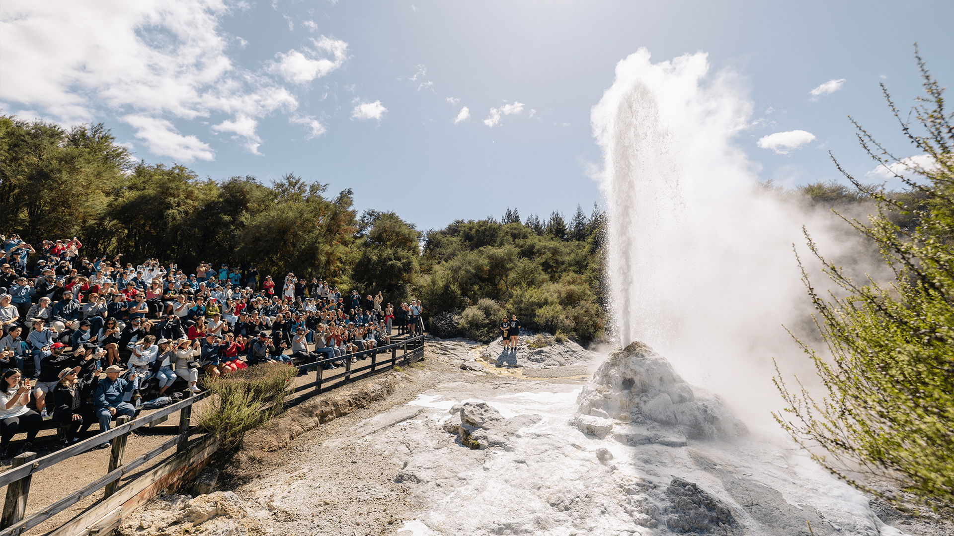 Tourism Investments | Te Arawa Group Holdings