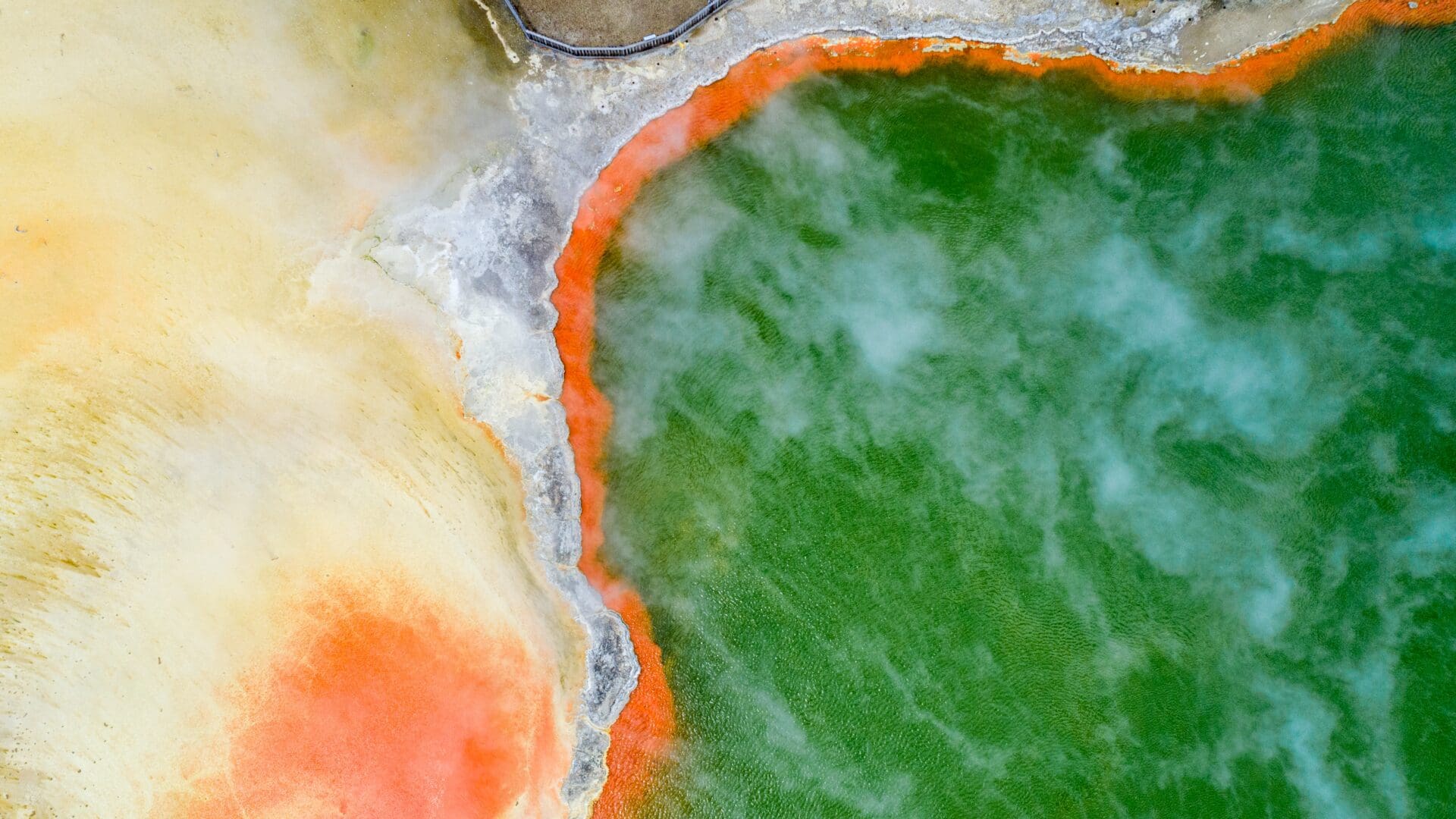 Creating Māori Wealth & Opportunity | Te Arawa Group Holdings